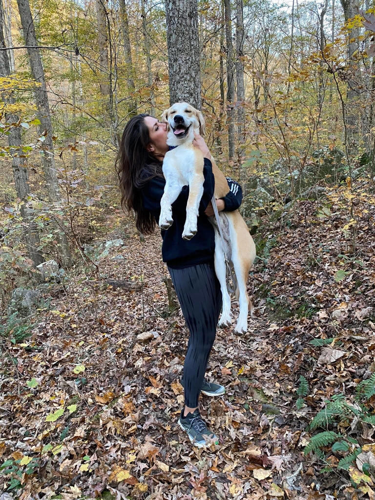 Dog dumped outside Dollar Tree wouldn’t stop waiting for his people to ...