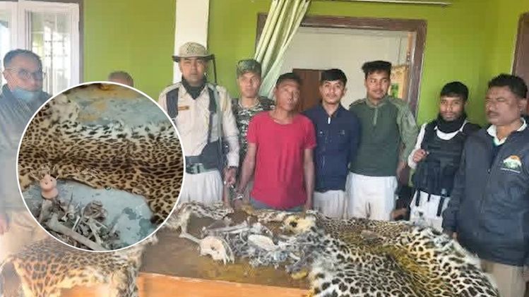 Major wildlife trafficking haul in Assam–Nagaland border, one arrested
