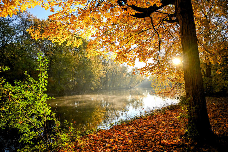 LSJ photographer shares top 5 Lansing area parks he visited in 2025