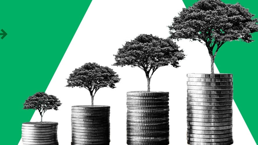 Explained: What is greenwashing and how does it undermine India's ...