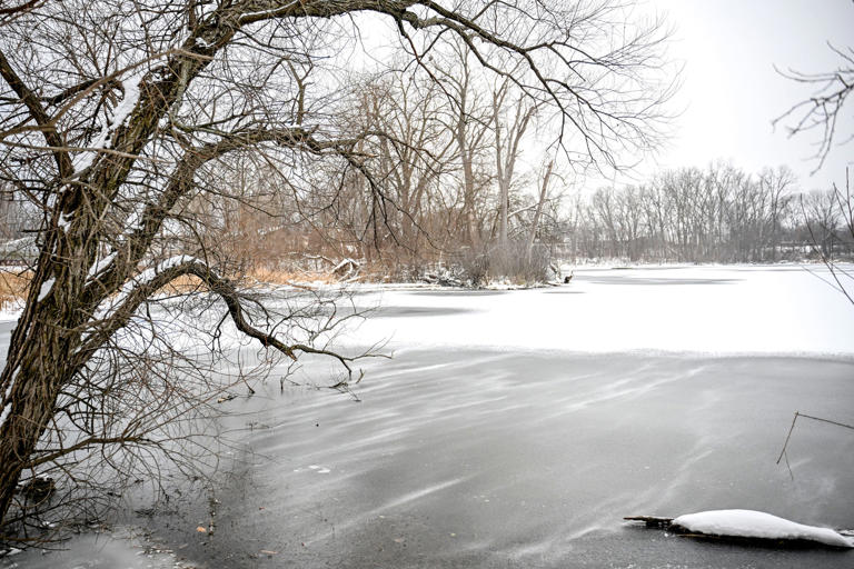 LSJ photographer shares top 5 Lansing area parks he visited in 2025