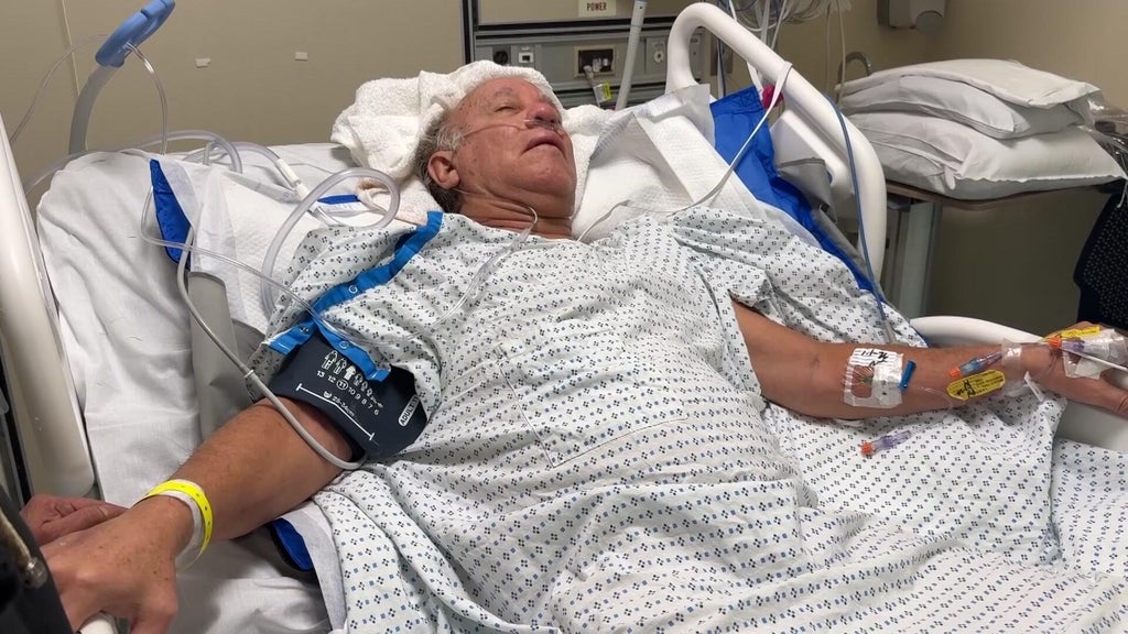 Brooklyn medical student charged with attempted murder after allegedly ...