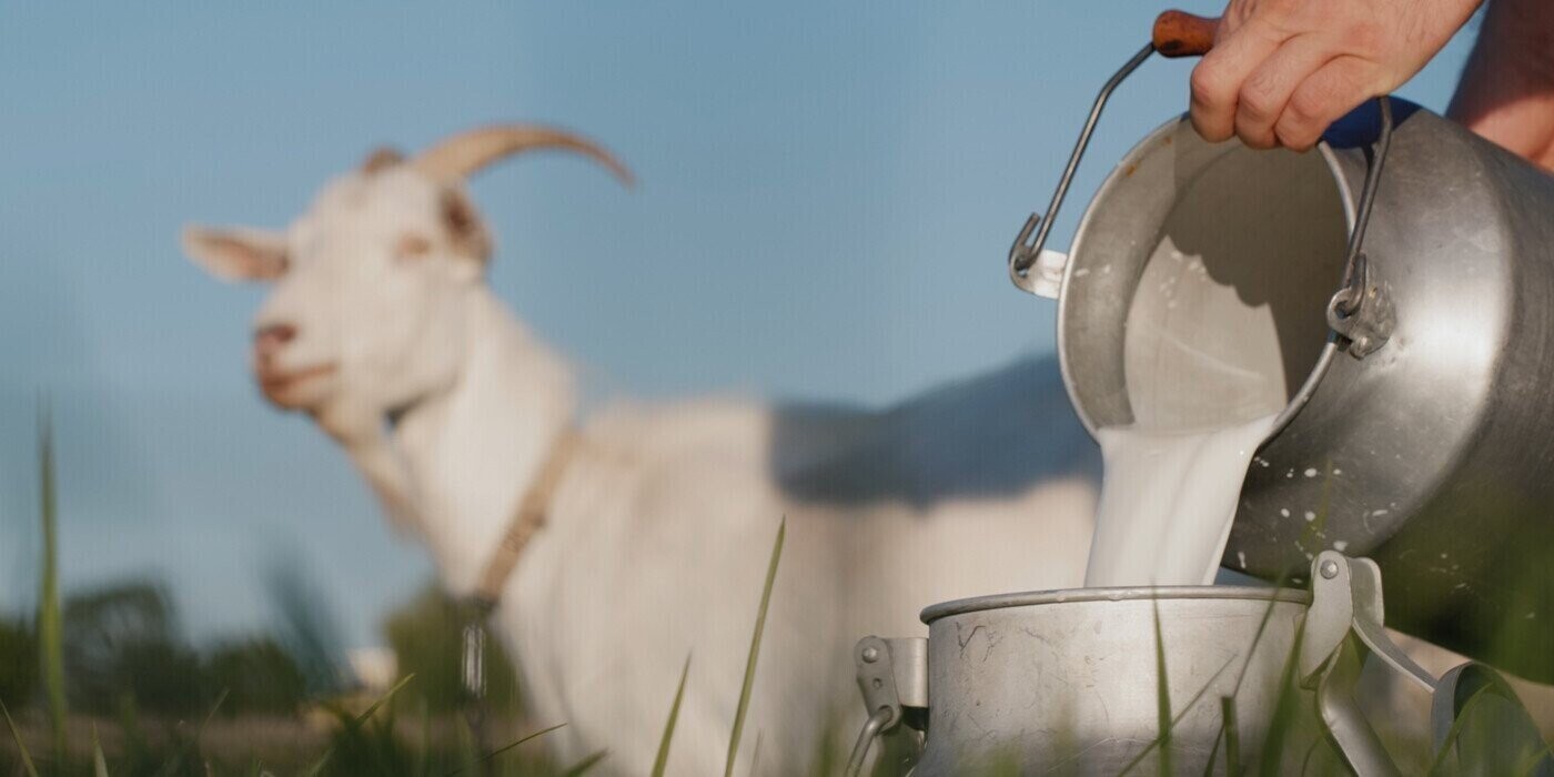 12 bits of trivia we guard with jealousy