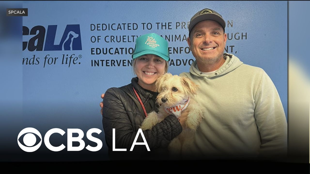 Dog rescued from Gardena trash can finds new home