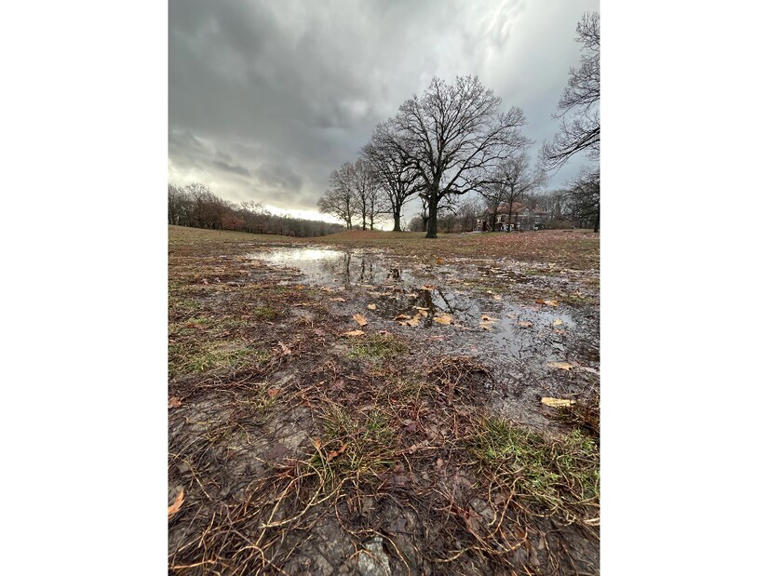 🌱 Patch AM: How did Brooklyn drive murders and shootings to record lows?