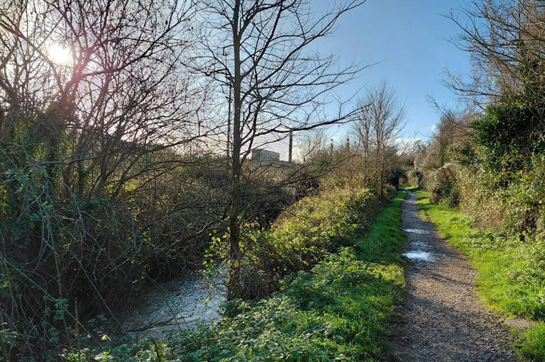 Future of Watchet paper mill site uncertain ten years after its closure