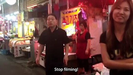 Dog War | Movie | 2024 | Official trailer