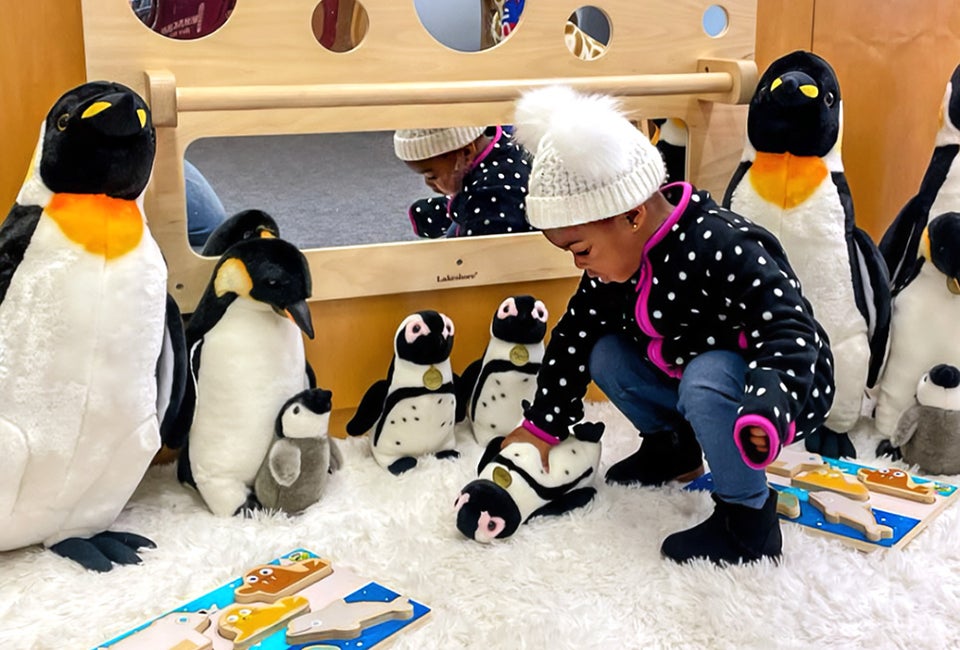 Free things to do indoors in Boston: Indoor places to play on cold and ...