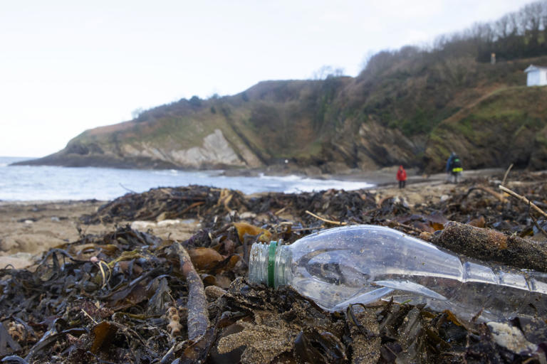 What the recycling symbols on your plastic rubbish actually mean