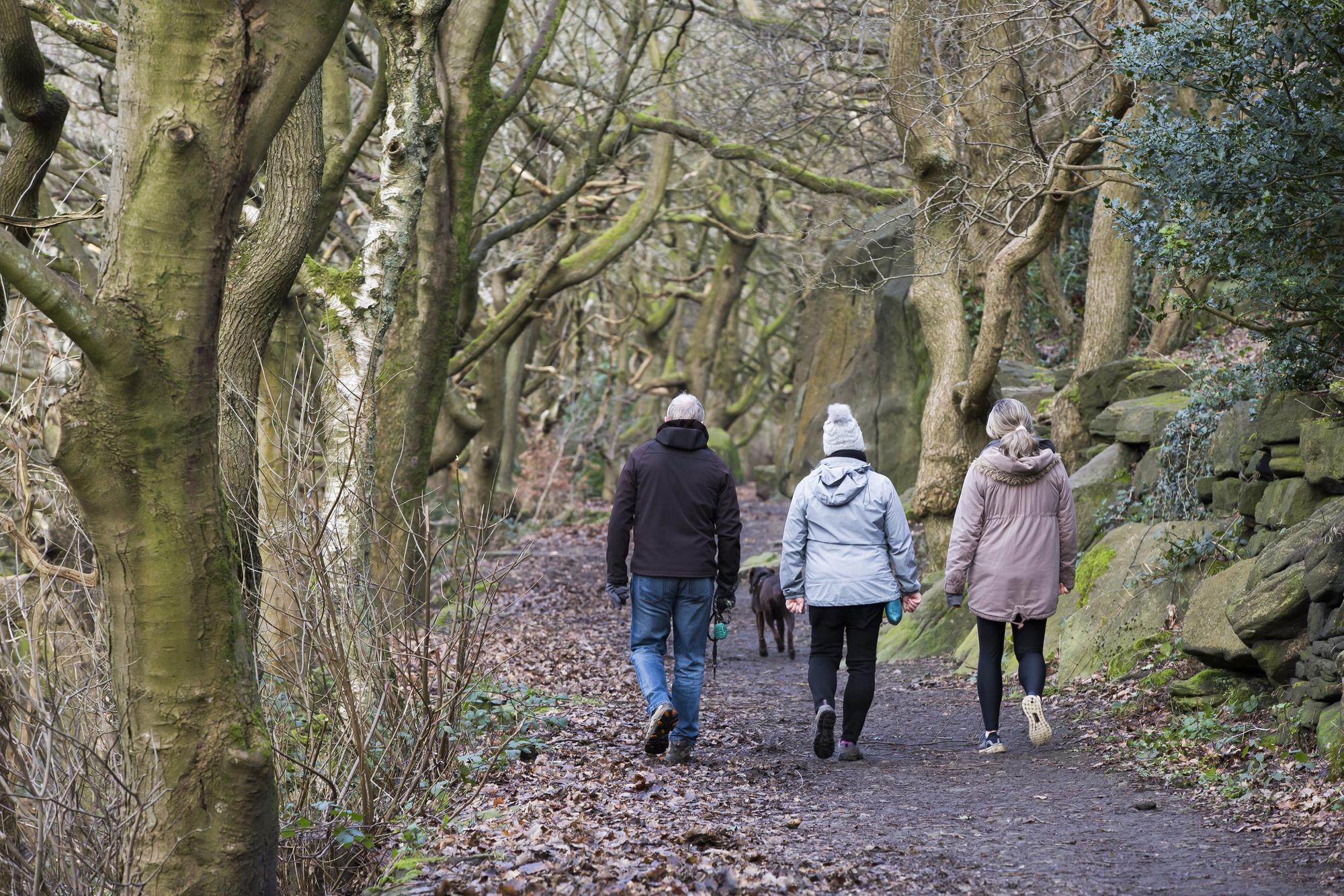 Winter walks for 2026: 12 winter walks in gorgeous Calderdale ...
