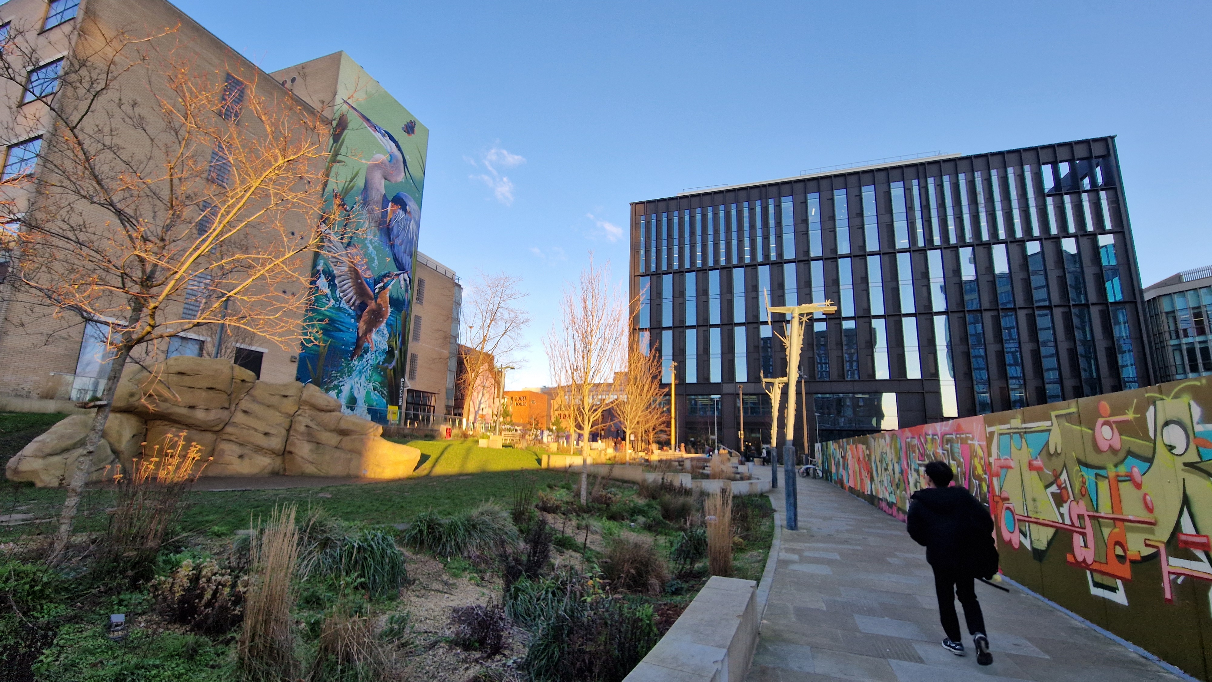 Sheffield weather: Frigid temperatures and wind chill to feel like ...