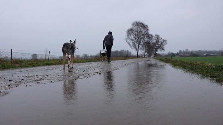 Dit was de natste winter ooit