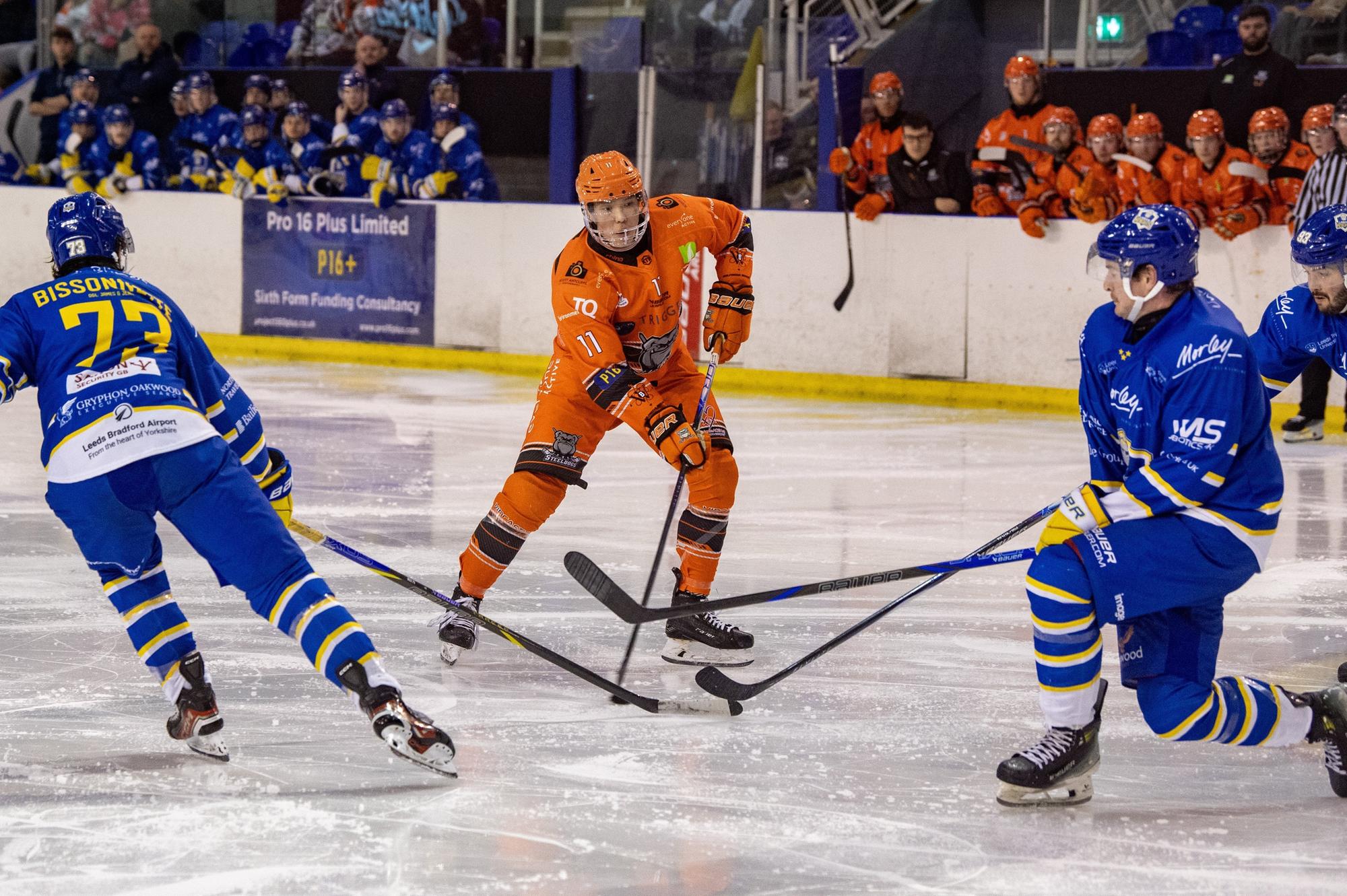 Hull Seahawks hit play-off mode as Sheffield Steeldogs look to boost ...