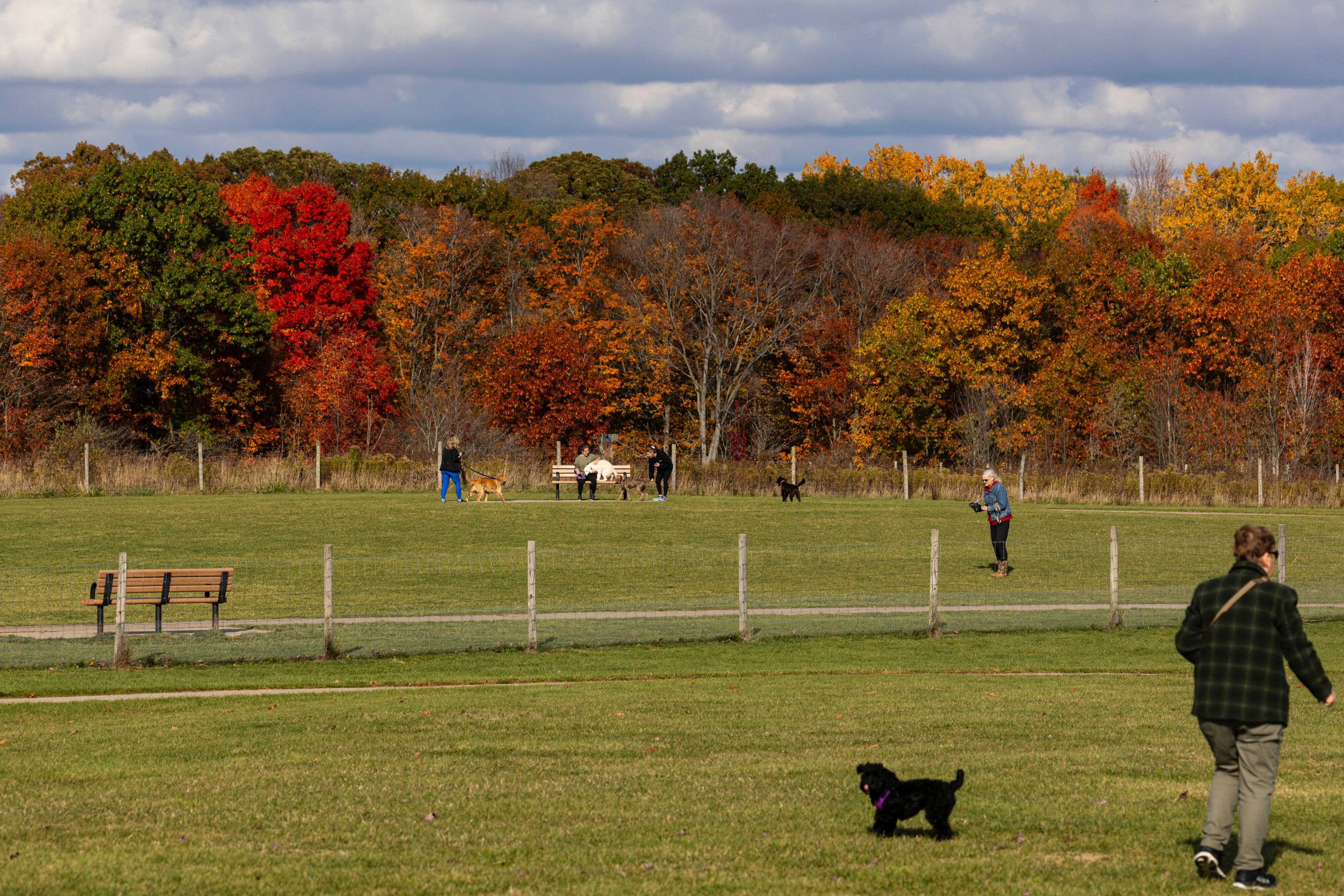 Win $250 in this 2026 scavenger hunt across Ottawa County parks