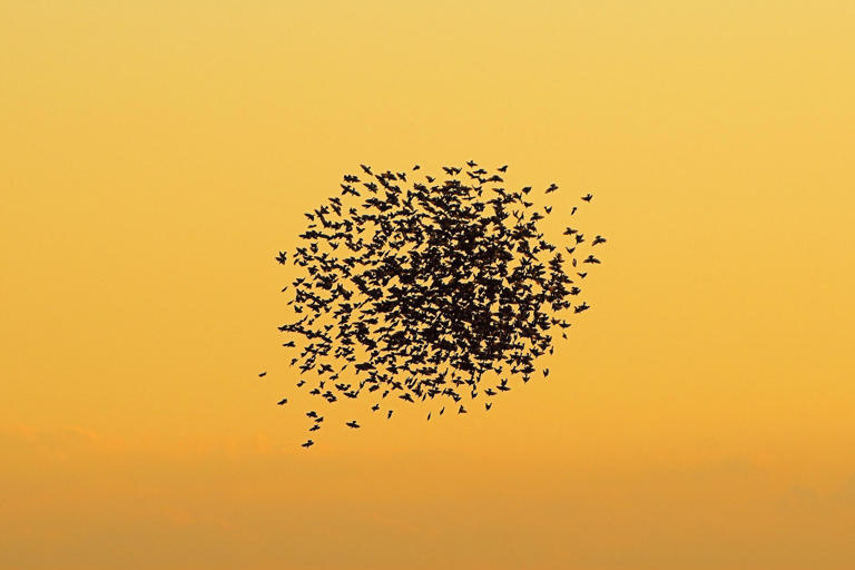 Big Ben’s silent years: 8 times the clock tower stopped (and why)