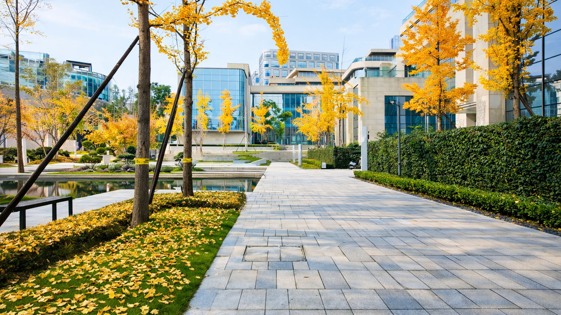 Modern architecture meets autumn beauty in Chengdu