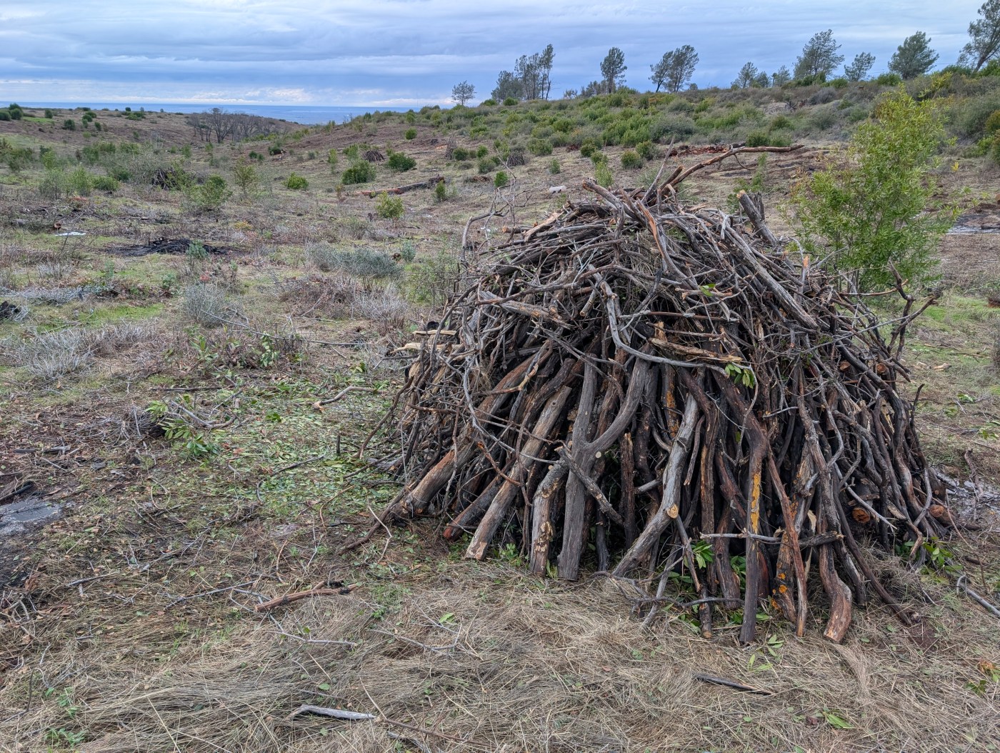 Prescribed burn season begins
