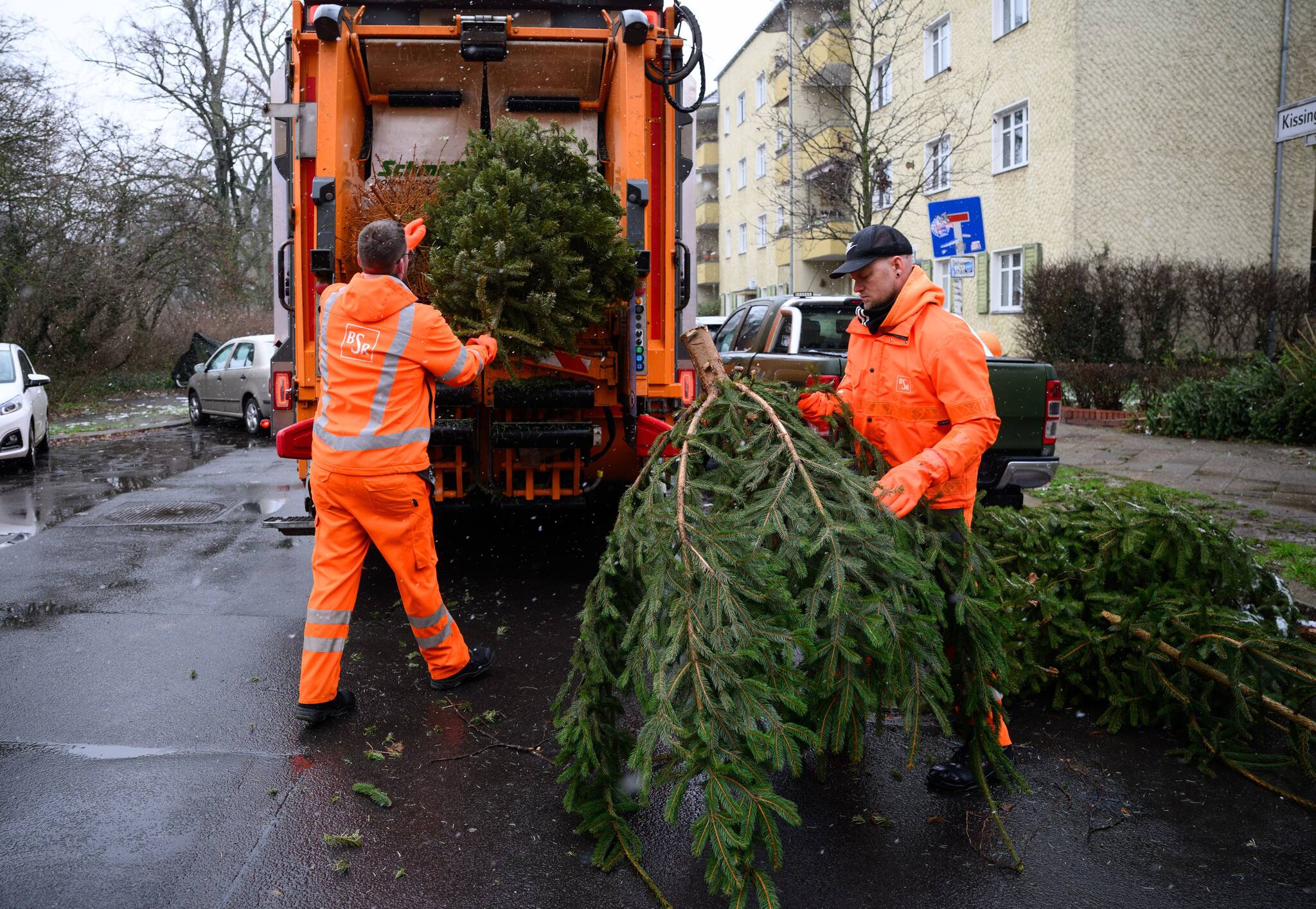 Weihnachtsbäume entsorgen im Landkreis Celle: Abholungstermine ...
