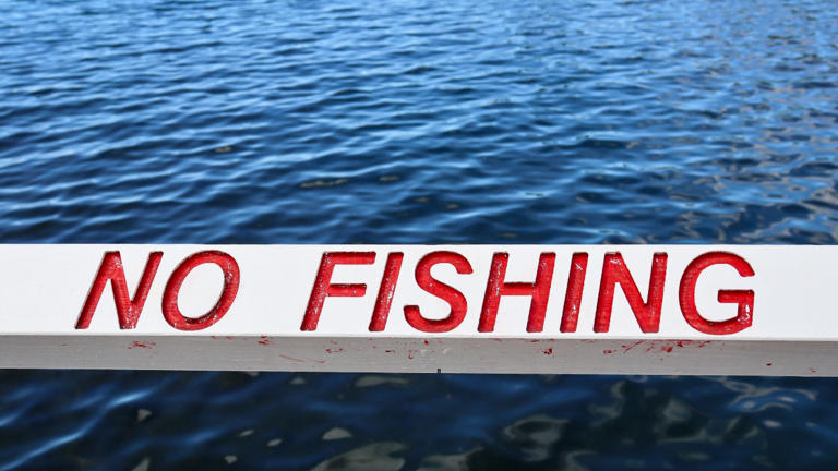Western Australia’s demersal fishing shutdown is a warning shot—why ...