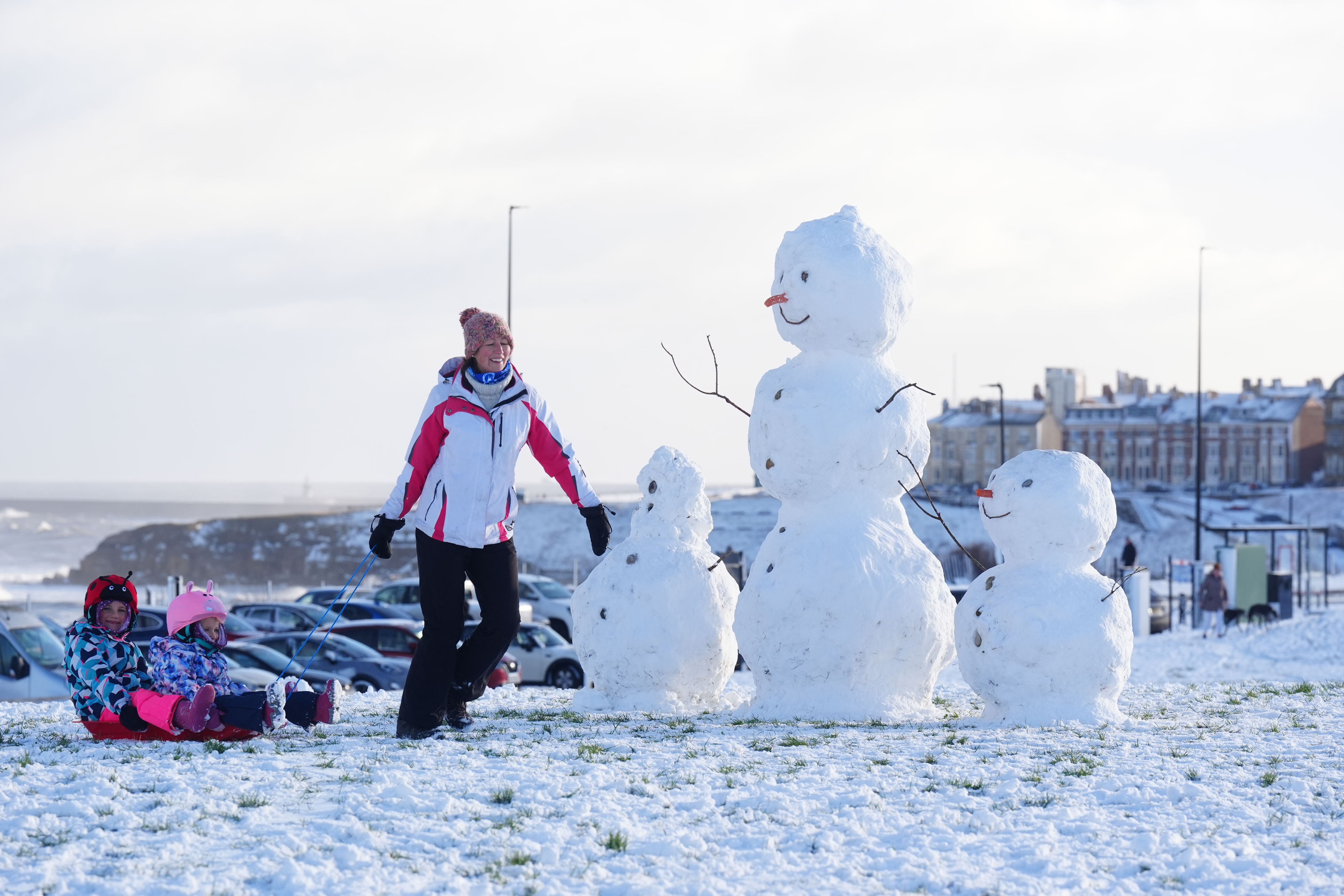 In pictures: It’s lovely weather for a sleigh ride together