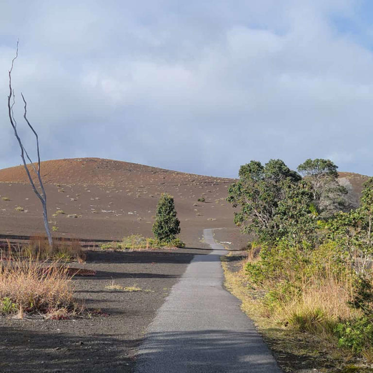 12 epic Hawaii Volcanoes National Park hikes: Walk through lava tubes ...