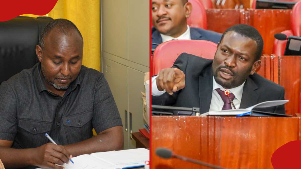 Edwin Sifuna goes after Junet Mohamed, blames him for Raila's loss in ...
