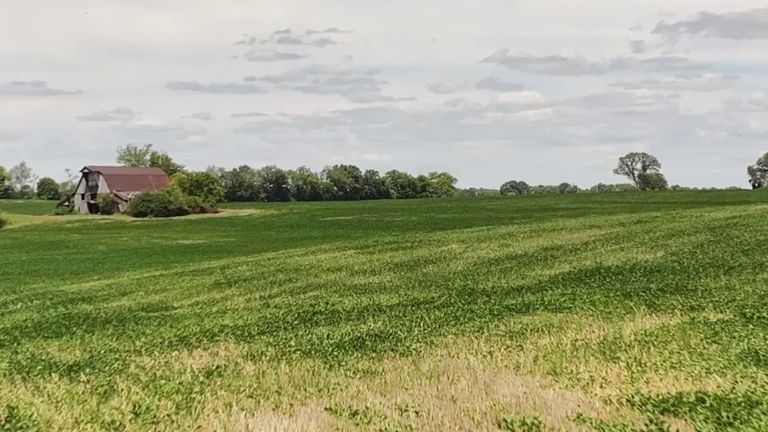 Federal farm aid offers relief as deeper pressures remain for TN farmers