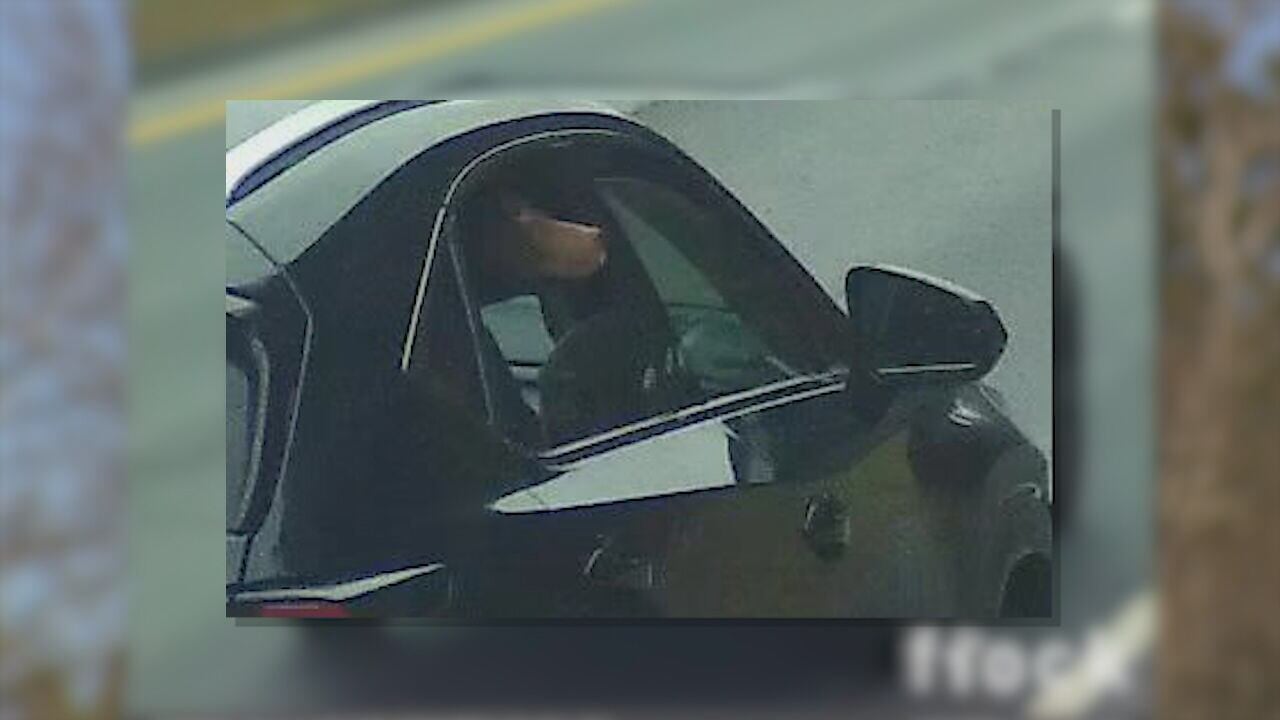 Dog shot, left for dead behind dumpster at Cobb County park