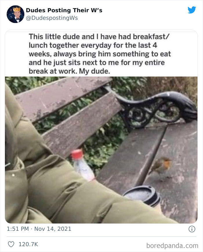 Ironically funny and wholesome: 36 of the best wins from guys posted on ...