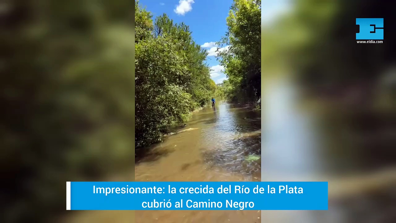 Impresionante: la crecida del Río de la Plata cubrió al Camino Negro
