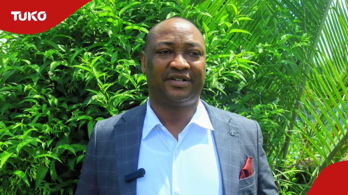NLP leader Augustus Muli rules out backing Kalonzo Musyoka's ...
