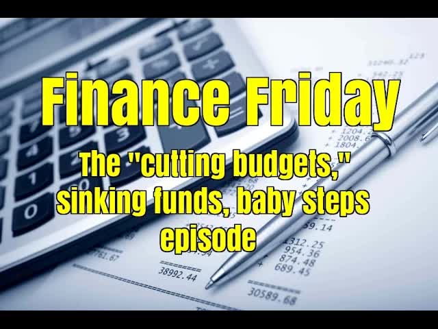 Financial Friday: The budget cutting episode $-20,421