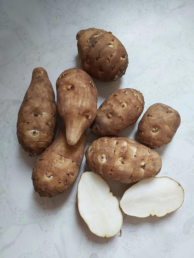 Radici piccole, raccolta scarsa? Ecco cosa stai sbagliando con il tuo ...