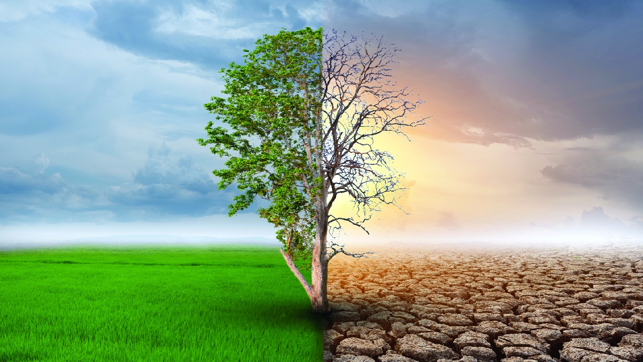 Reclaiming purpose in a procedural climate regime