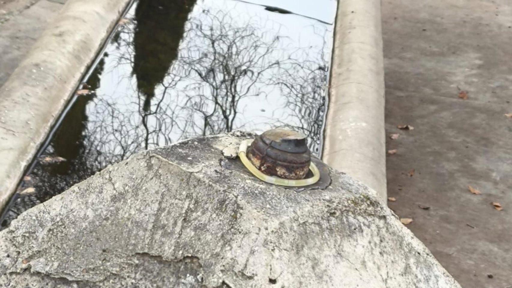 Los vecinos de Collados (Cuenca) indignados por el robo de la piña ...