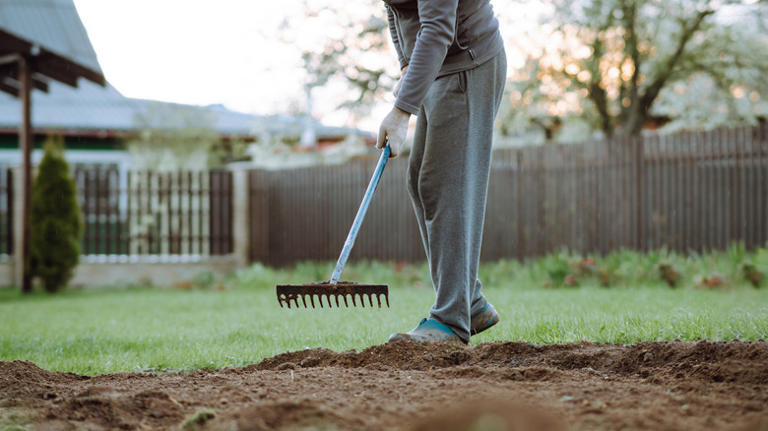 The most recommended soil options for reseeding your lawn