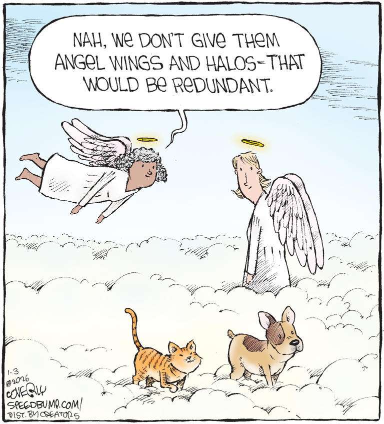 LightWave reports' daily comic strips (1/3)