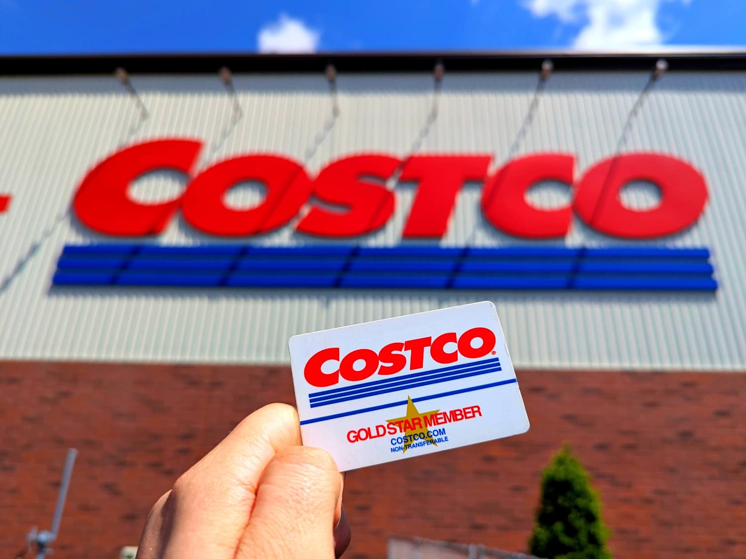 6 practical things to buy with a Costco gift card you just got