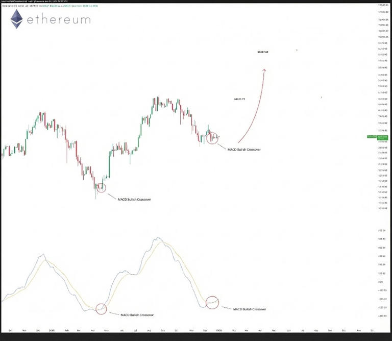 Ethereum targets $4,800 as new crypto coin at $0.04 wows investors