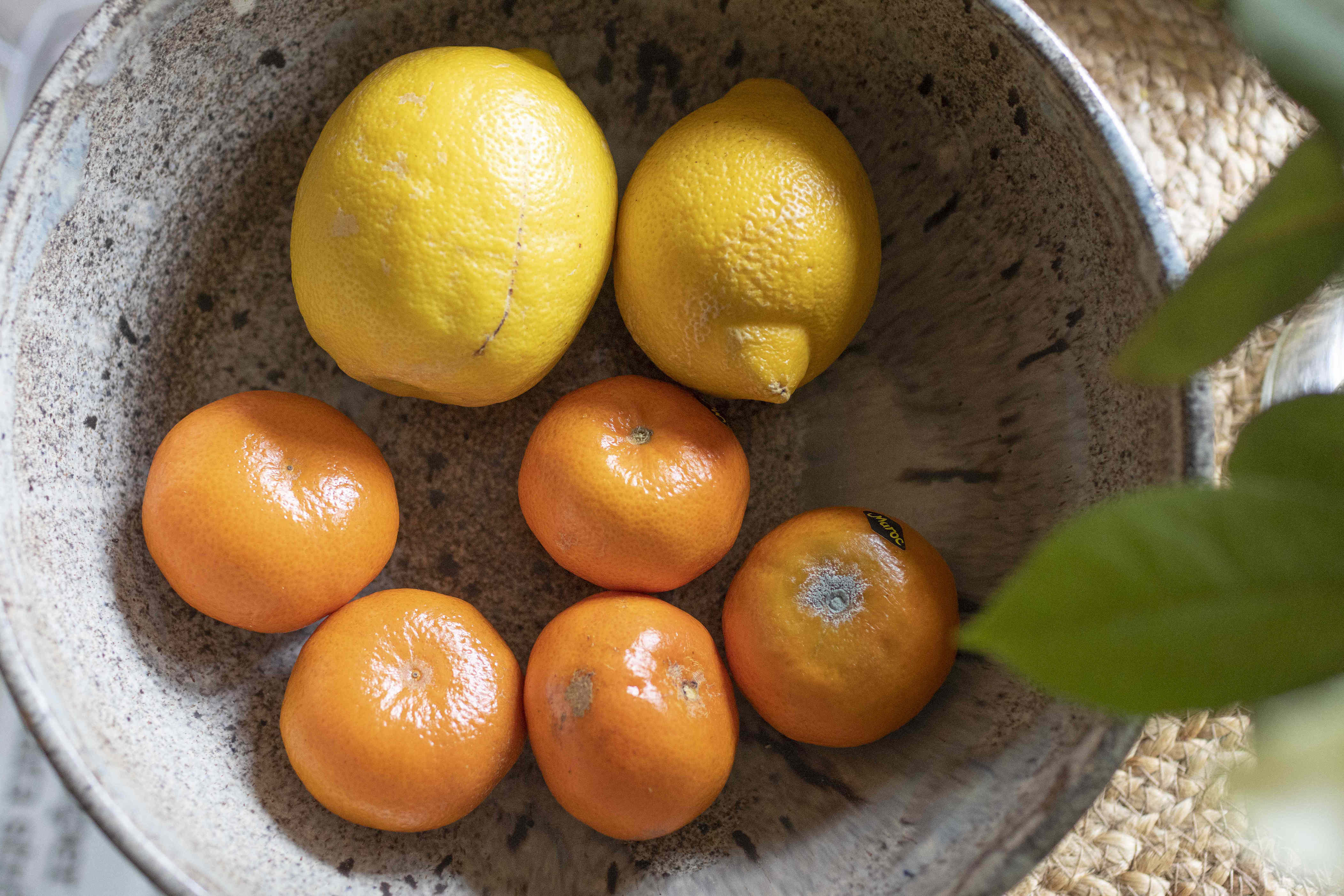 The 20 best fruits and vegetables to eat in January