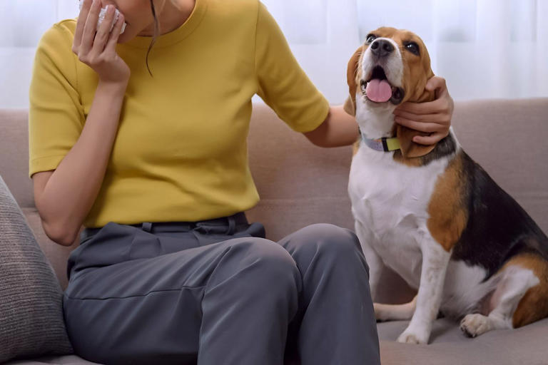 Woman doesn’t want to go to her in-laws' house anymore because of her ...