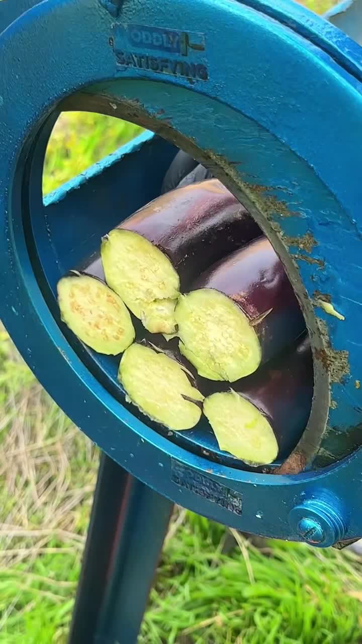 Can you identify this flag? ASMR