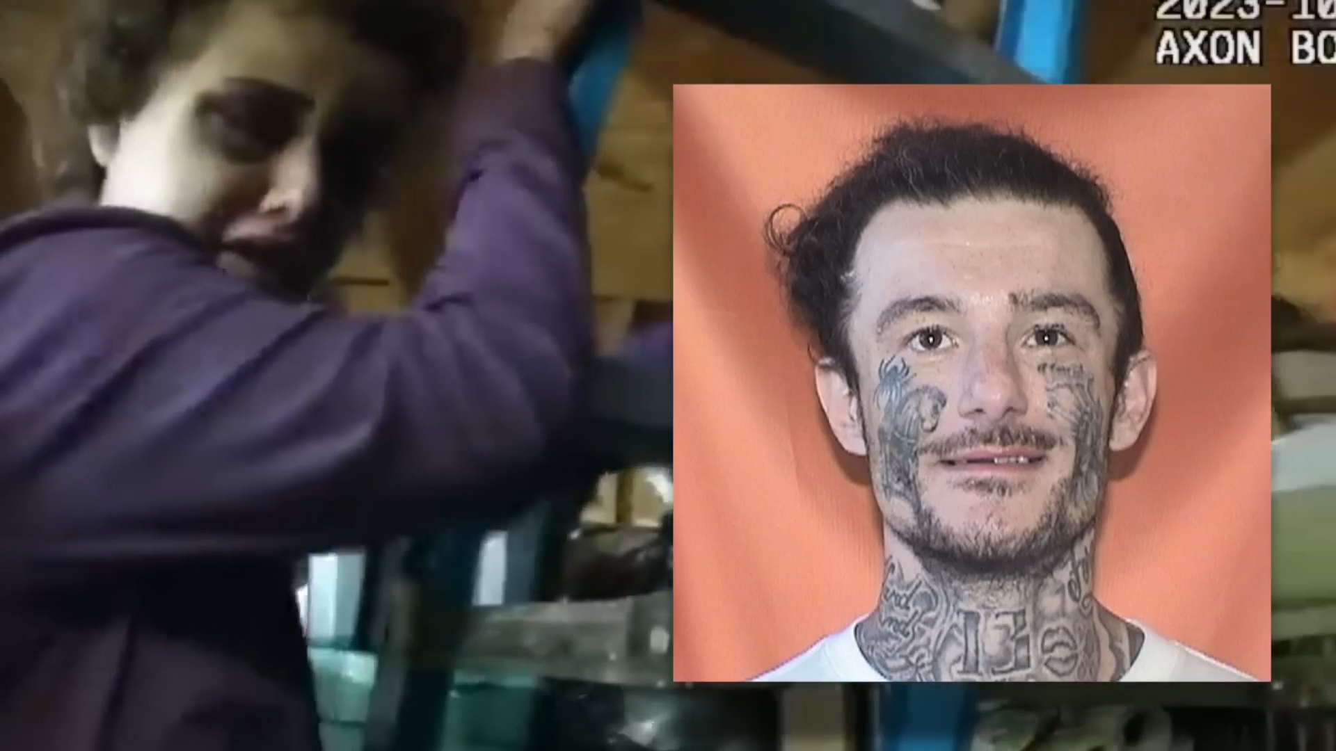 Missing mother found alive in garage with serial kidnapper