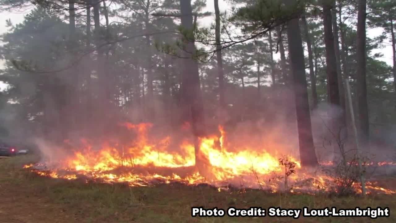 Battle continues as Sabine National Forest fire reaches 275 acres