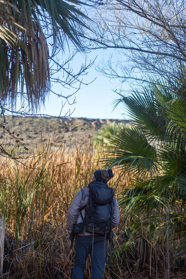 Climate change gives Las Vegas bird count new meaning