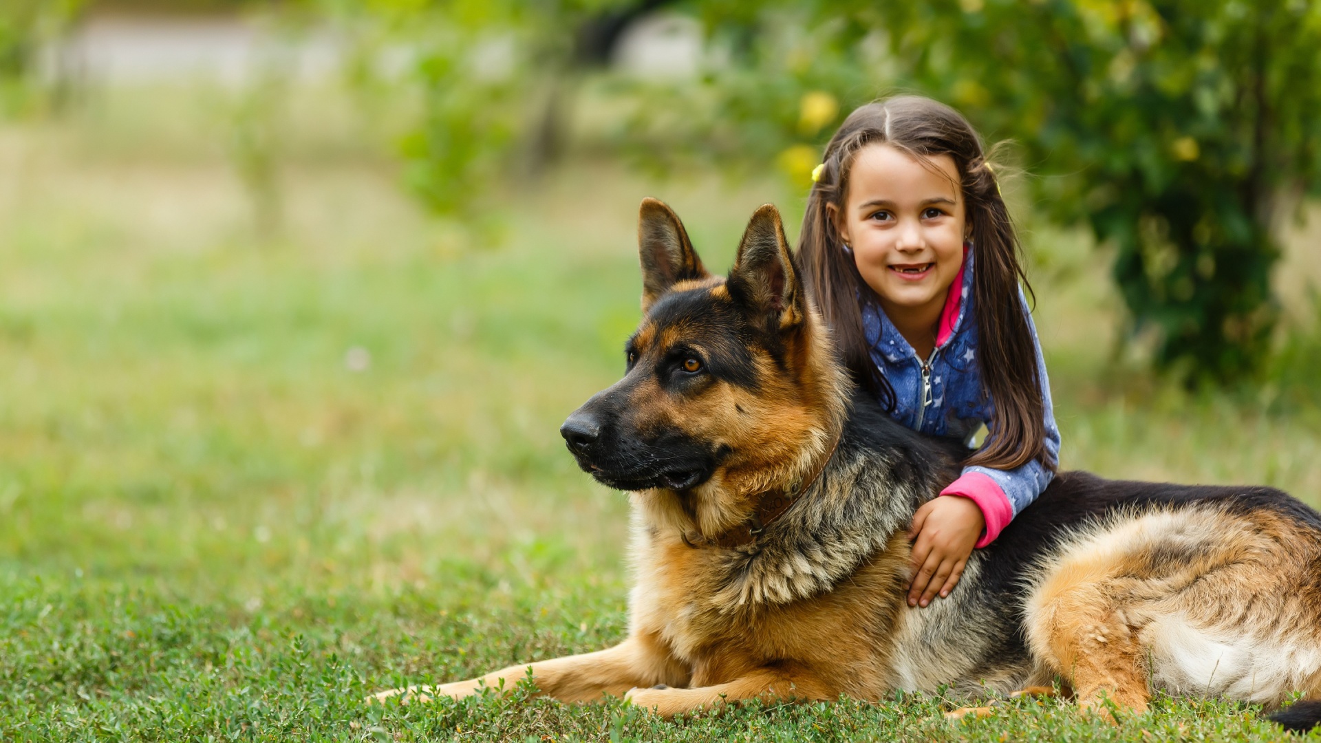 These are the breeds that have led the world to define dogs as 'man’s ...