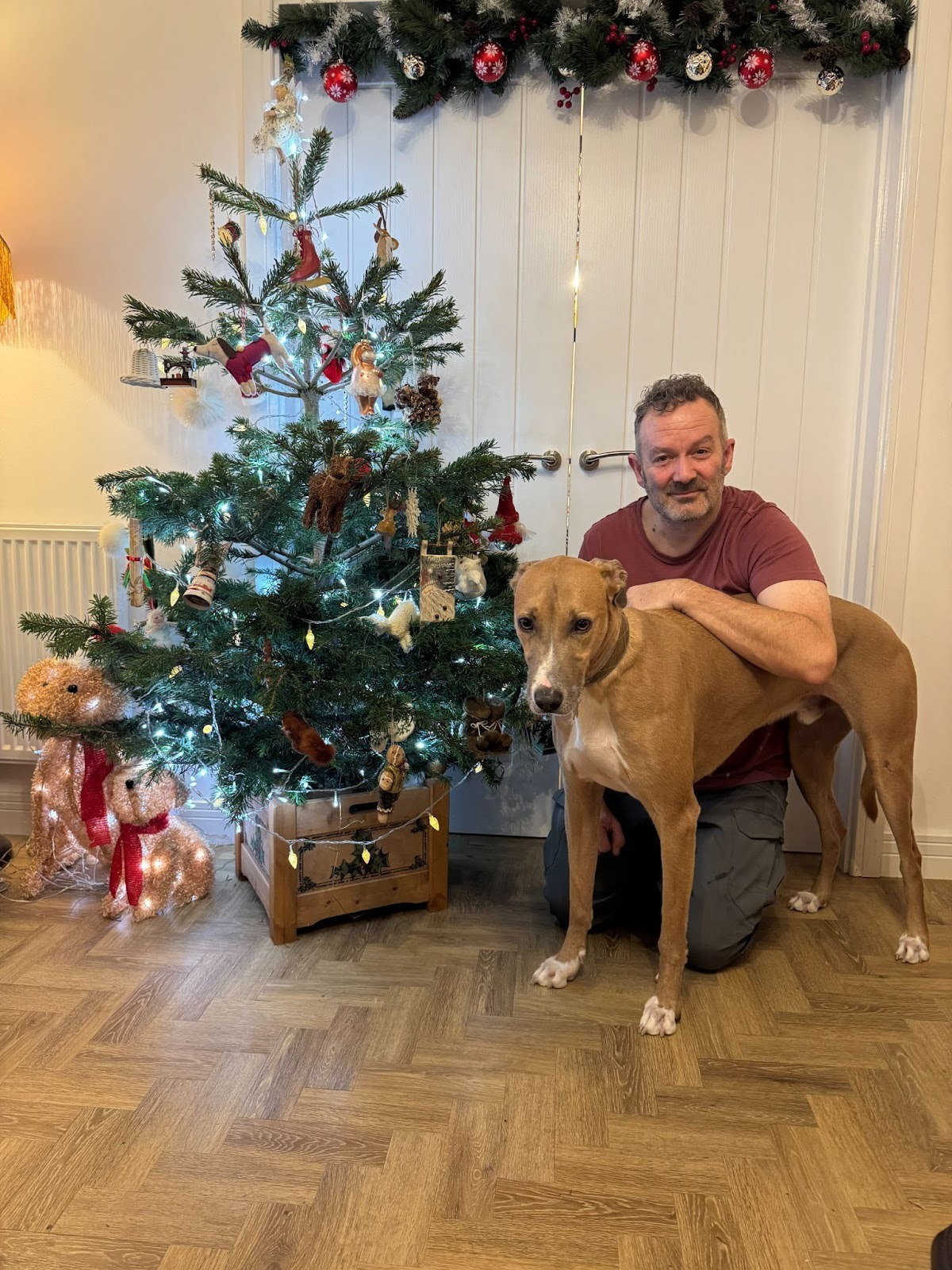 'Gentle giant': One of Britain's loneliest dogs finally finds forever ...