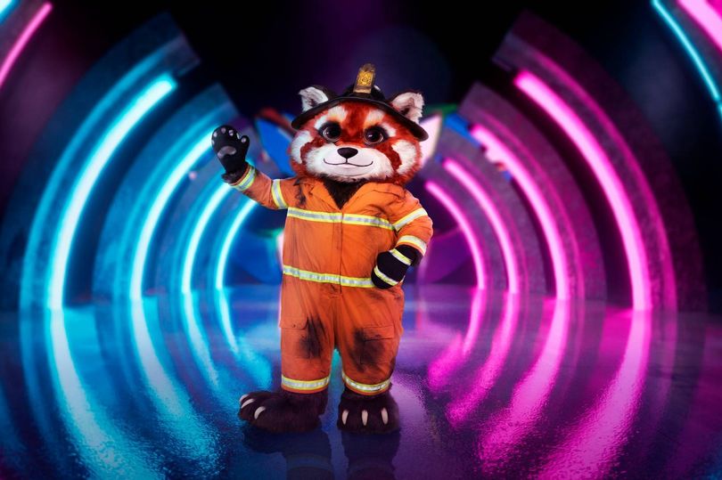 Masked Singer removes Red Panda from first episode in light off Swiss fire