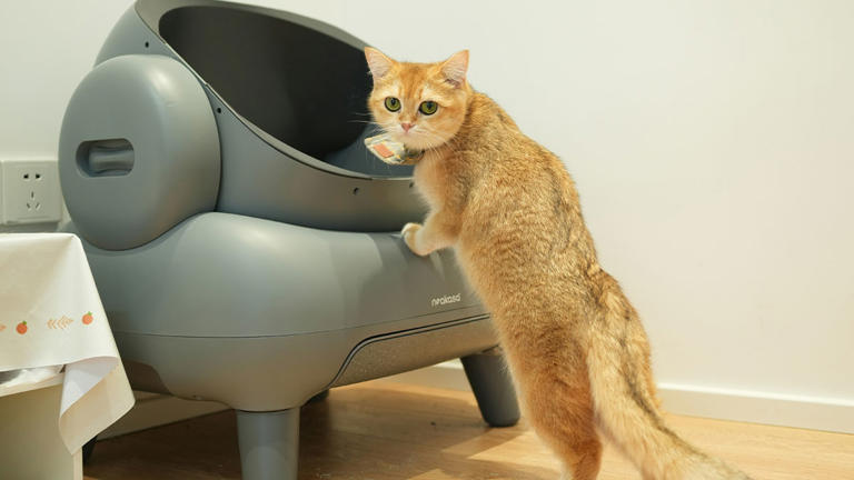 43 creepy things found in “normal” people’s homes