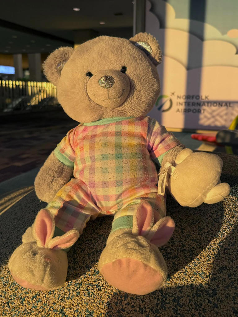 Airport takes to social media to reunite lost teddy bear with owner